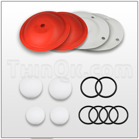 Shop - Kits - AODD Pump Parts - Thinqk