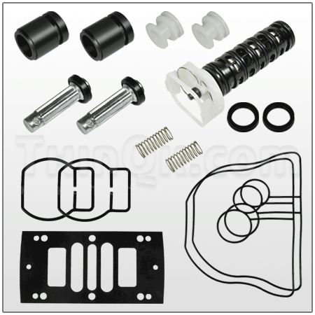 Kits > Repair kit (TK45-AM) - AODD Pump Parts - Thinqk