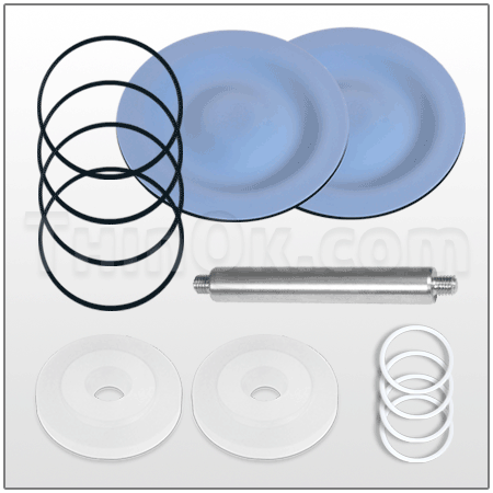 Shop - Kits - AODD Pump Parts - Thinqk